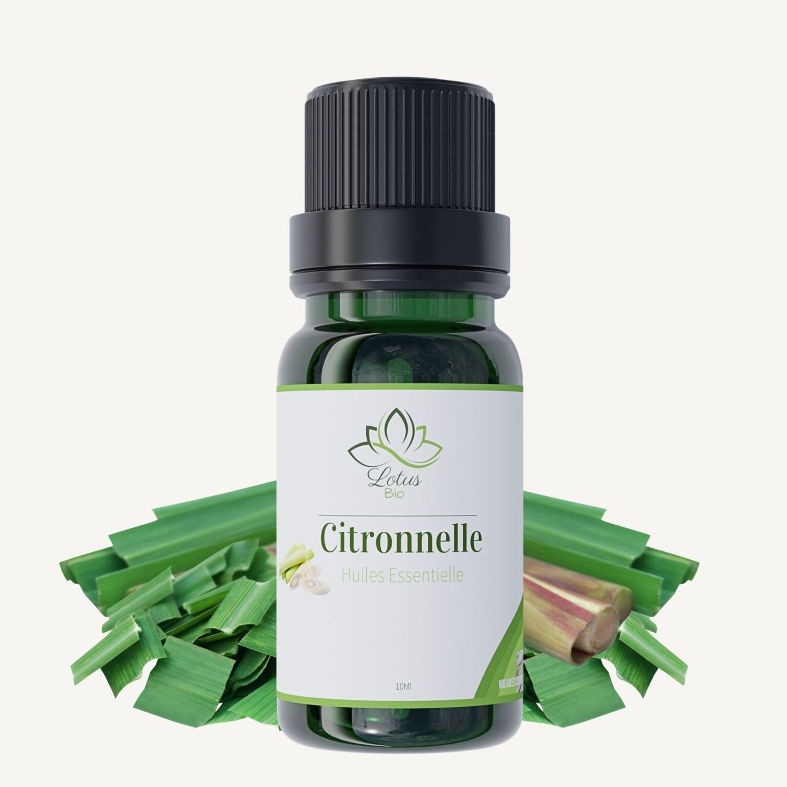 75.00 Dhs Ajouter au panier